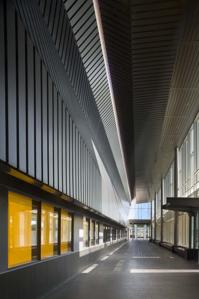 CENTRO DE INVESTIGACIÓN DE NANOTECNOLOGÍA MARCUS - Archivo BAQ